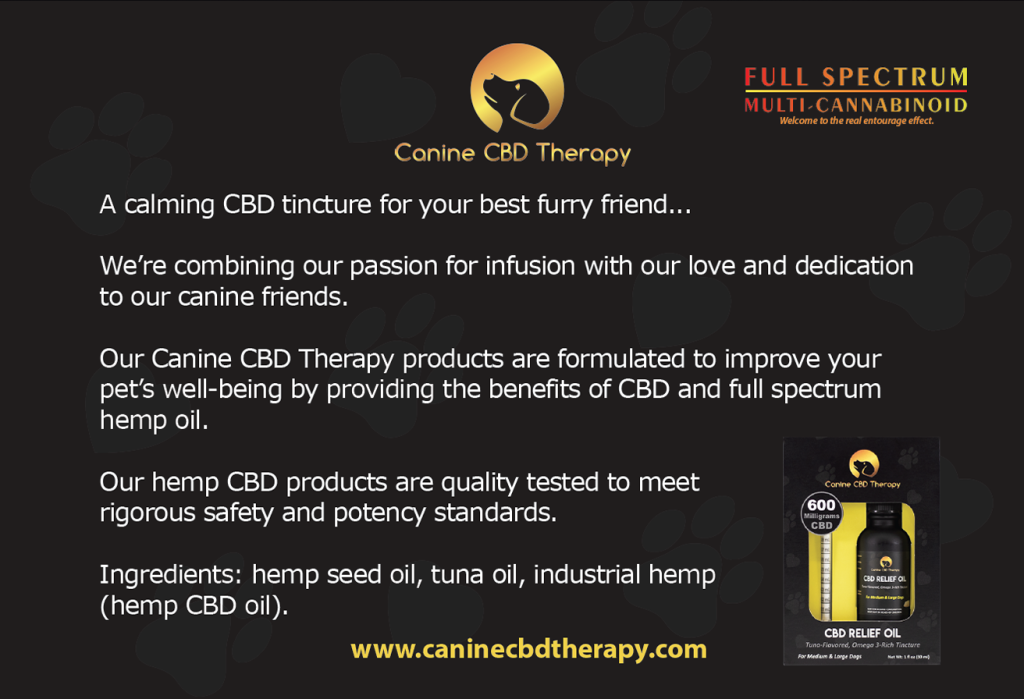 Special Formula For Your Dog - Canine CBD Therapy, CBD Oil for Dogs ...